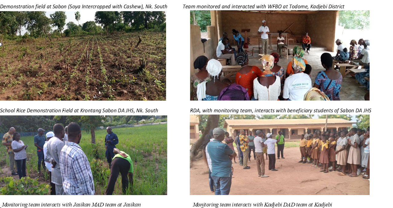 REGIONAL DIRECTOR OF AGRICULTURE CONDUCTS MONITORING VISIT TO ALL ...